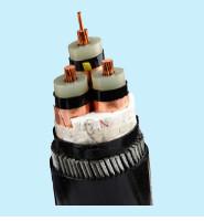 China Electrical CSA PVC Insulated Armored Cable Wire With 2 Conductor for sale