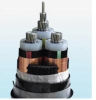 China Steel Wire Copper Core Cable , Insulated Armored Copper Cable 600V for sale