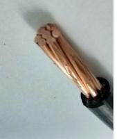 China Copper Sheathed PVC Insulated Control Cable Temp Rating 70℃ With  2 Core for sale