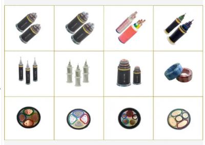 China Electrical Copper PVC Insulated Control Cable 300V 400mm2 With Coil Packaging for sale
