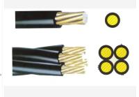 China Conductor Neutral Aerial Bundled Cable Low Voltage AC Rated 35mm2 for sale
