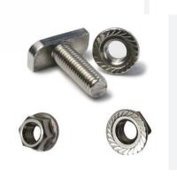 China Stainless Steel 304 316 T Bolt For Solar System Mounting for sale
