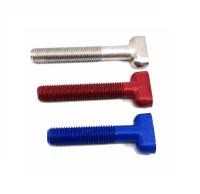 China Mechanical Joint Waterwork T-Bolt and Nut SS304 316 For Water Treatment System for sale