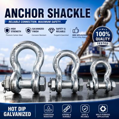 China Screw Pin Anchor Shackle | High Strength Utility Fitting | Drop Forged Anchor Shackle for sale