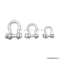 China Screw Pin Anchor Shackle | High Strength Utility Fitting | Drop Forged Anchor Shackle for sale