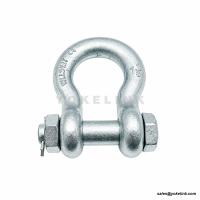 China Drop Forged Anchor Shackle | RR-C-271 Heavy Duty Rigging | ASME B30.26 Bow Shackle for sale