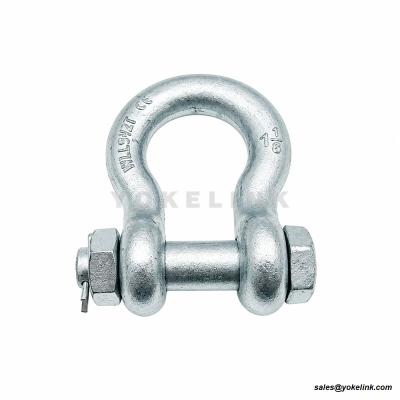 China Drop Forged Anchor Shackle | RR-C-271 Heavy Duty Rigging | ASME B30.26 Bow Shackle for sale
