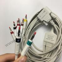 China PHiliph Page Writer TC20 Long 10 Lead Patient Cable IEC REF 989803175911 for sale