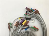 China GE ECG Leadwire Set Base 10 Grabber  AHA PN 2104749-001 for sale