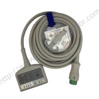 China Mindray N17/N15/N12 Patient Monitor 0010-30-42722 ECG Trunk Cable EV6204 12pin 12 Lead Host Cable IEC Def-P for sale