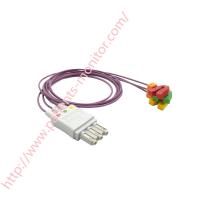 China Philiph M1626A ECG LeadSet Unshielded 3 Lead Miniclip IEC 0.7M 989803144951 New Original for sale