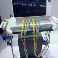 China Vishee VisheeNEO IFC320 3D Ambulatory Interference Current Therapy Device Used for sale