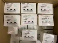 China PN115-038466-00 Patient Monitor Accessories Mindray BS230 BS240 BS240E BS350E BS350S BS360E BS360S BS370E 12V 20W Lamp for sale