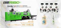 China 20000BPH Pet Preform Blowing Machine For Small Mineral Water Bottle for sale