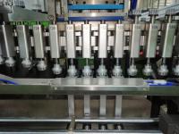 China 5000ml Pet Stretch Blow Molding Machine for sale