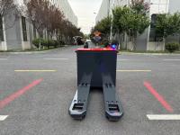 China Electric Forklift 1.5T 2.0T Power Pallet Jack with Lithium Battery 25.6V 300AH Portable Design for sale