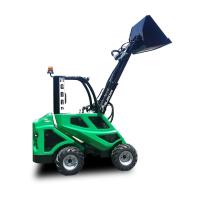 China Mini Diesel Wheel Loader 1 Ton 1000kg Load Capacity 0.5m3 Bucket for Farm for sale