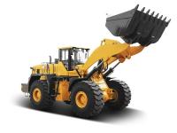 China Mini Diesel Wheel Loader 1 Ton 1000kg Load Capacity 0.5m3 Bucket for Farm for sale