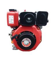 China 12hp 246cc Single Cylinder Air Cooled Mini Diesel Engine for Food Beverage Shops for sale