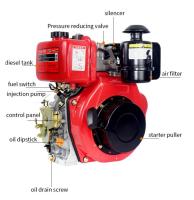 China 12hp 246cc Single Cylinder Air Cooled Mini Diesel Engine for Food Beverage Shops for sale