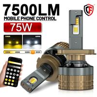 China RGB LED Car Headlight Bulbs Canbus Error-Free 12V 50,000 Hours H1 H4 H7 H11 9005 9006 9012 for sale