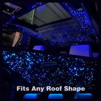 China Professional Fiber Optic Starlight Headliner Kit 12V-220V Universal Car Interior Ambient Lighting System for Workshops for sale