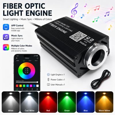 China Universal Car Fiber Optic Starlight Headliner Kit 6000K Cool White 12V-220V Wide Voltage Input Galaxy Ceiling Lighting Upgrade for sale