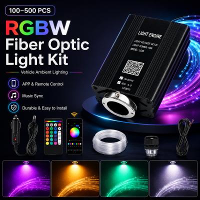 China CF Dasuo Automotive Fiber Optic Starlight Ceiling Kit 6000K Cool White 12V-220V Wide Voltage Input for Galaxy Ceiling Effect for sale