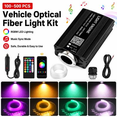 China Universal Fiber Optic Car Roof Star Light System 6000K Cool White 12V-220V Wide Voltage Input for sale