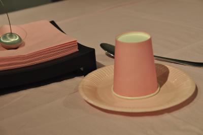 China Disposable Party Premium Paper Tablecloths 4 Pink Rectangle 54 