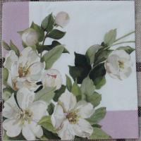 China Airlaid 25x25cm Printed Paper Napkin Disposable for 5 Star Hotel Use for sale