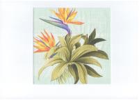 China FDA 2-3ply 25x25cm Printed Paper Napkins for Summer Party Bulk for sale