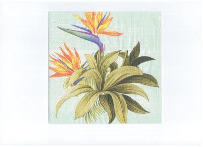 China FDA 2-3ply 25x25cm Printed Paper Napkins for Summer Party Bulk for sale