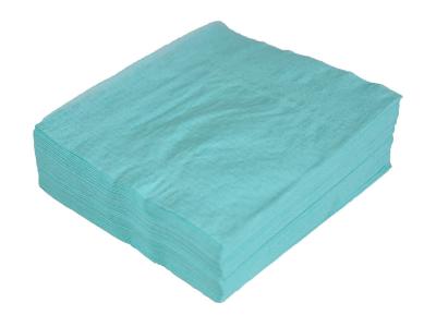 China Square 2-Ply 40x40cm Caribbean Blue Paper Napkin 50 Ct for Parties for sale