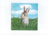 China OEM 18gsm Bunny Rabbit Printed Paper Napkin For Wedding for sale