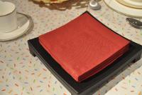 China 2 Ply Disposable Paper Napkins 13x13 Inch 100 Count Eco Friendly Biodegradable Linen Feel for sale