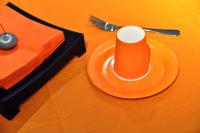 China Biodegradable Compostable Dinnerware Set 33x33cm Eco Friendly Plates and Cutlery for sale