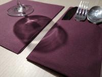China Biodegradable 40cm Disposable Color Napkins 1ply 55gsm for Party Restaurant Household Use for sale