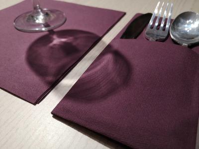 China Biodegradable 40cm Disposable Color Napkins 1ply 55gsm for Party Restaurant Household Use for sale