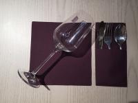 China Biodegradable 40cm Disposable Color Napkins 1ply 55gsm for Party Restaurant Household Use for sale