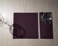 China Biodegradable 40cm Disposable Color Napkins 1ply 55gsm for Party Restaurant Household Use for sale