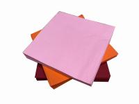 China 17g Soft Disposable Paper Napkin 2 Ply 30x30cm for Holiday All Season for sale