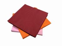 China 17g Soft Disposable Paper Napkin 2 Ply 30x30cm for Holiday All Season for sale