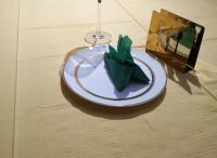 China Unscented Colored Premium Paper Tablecloths Disposable And Absorb Water Well for sale