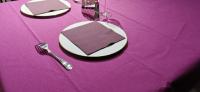 China Luxury 2ply 47gsm-51gsm Airlaid Tablecloth Virgin Wood Pulp 274cm Length for sale