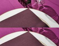 China Disposable 2ply Airlaid Tablecloth 274cm Length Virgin Wood Pulp Soft Color for Party for sale