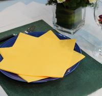 China 100% Wood Pulp Colored Paper Napkins 2 Ply 33x33cm Disposable Party Napkins for sale