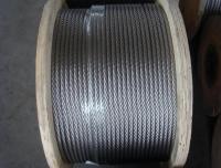 China 7x19 8mm 10mm 12mm 316 Stainless Steel Crane Wire Rope with Loop - 1470-1770 MPA Tensile Strength for sale