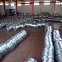 China Galvanized Steel Wire Q235 Grade BWG20 1.6mm-2.5mm Diameter Electro Galvanized Iron Wire for Grapes for sale