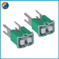 China FLM C Male Type Slow Blow Fuse Automotive Jcase Link 20A 50A 80A 100A DC 32V for sale